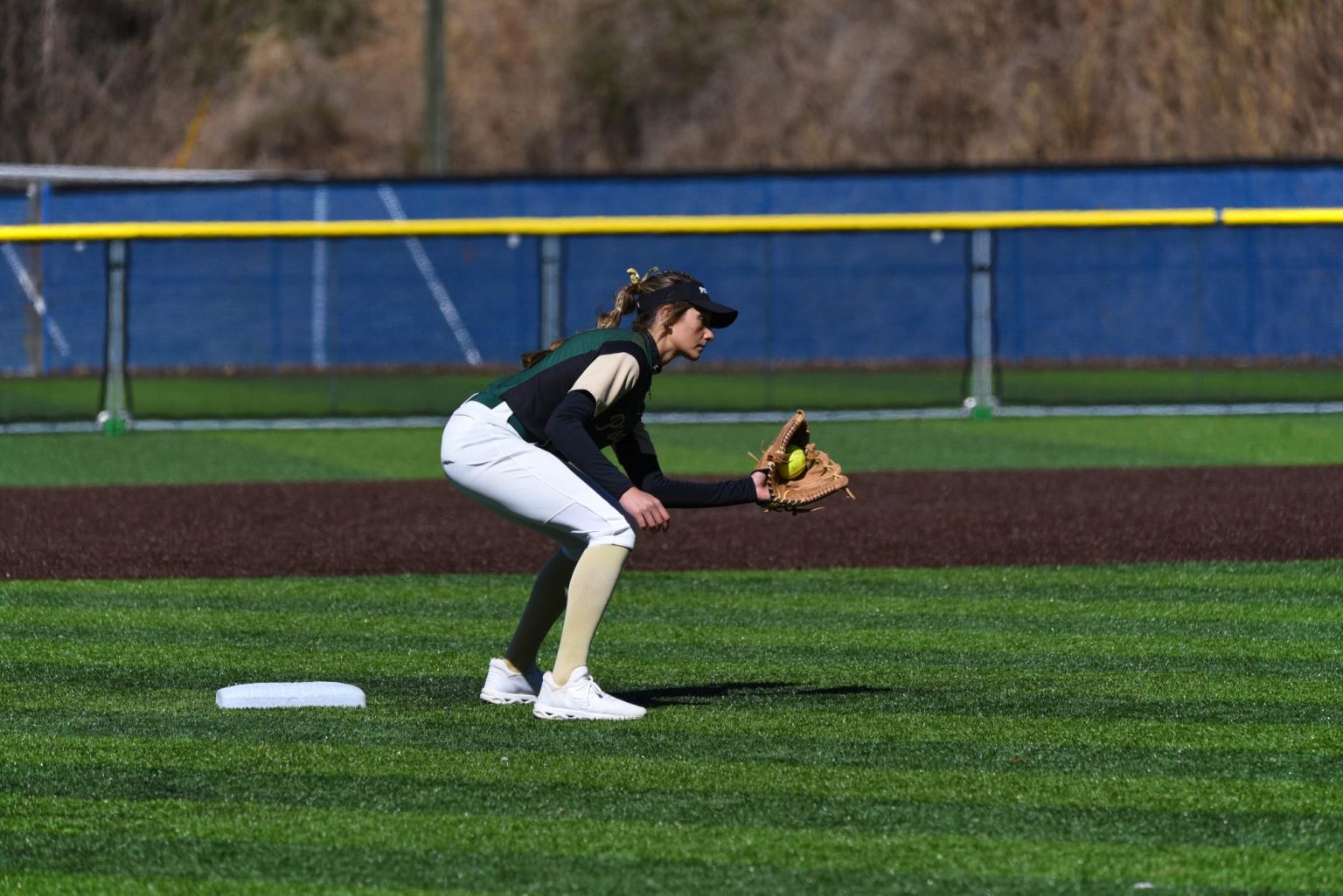 Softball splits first set of home games – Point Park Globe